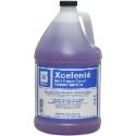 Xcelente Multi-Purpose Hard Surface Cleaner - 1 Gal, 4 Each/Case - BGR